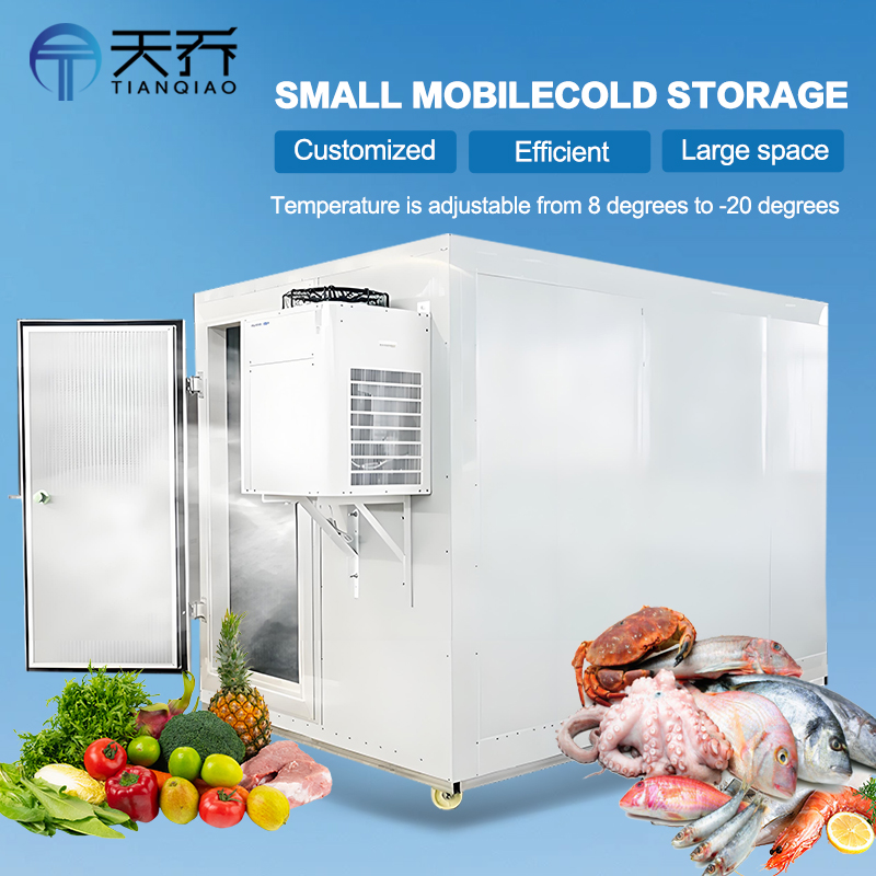 Cold Storage Mobile - Portable Commercial Freezer